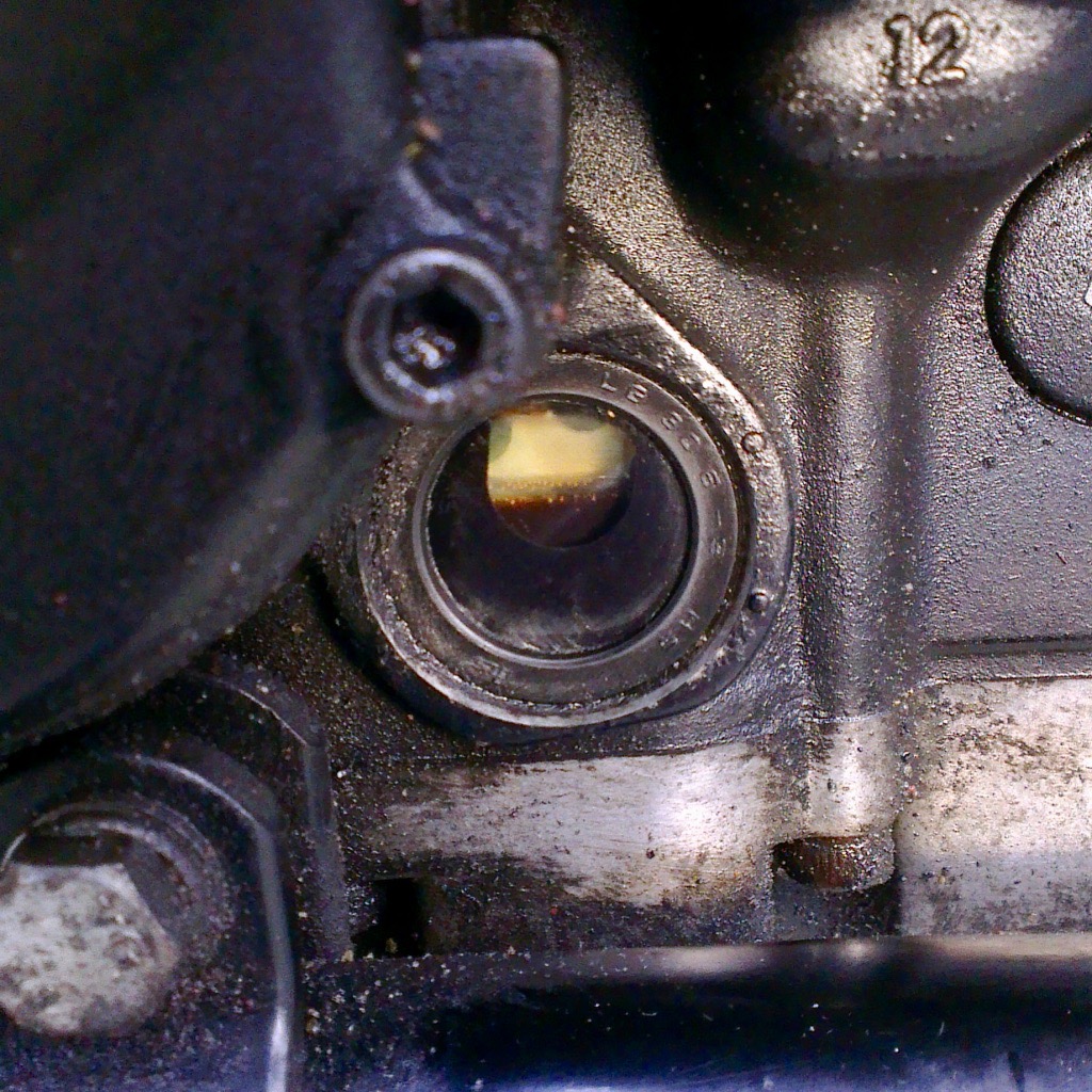 Pre Ride Motorcycle Check - POWDERS Bike Check - Beginner Biker Adventures